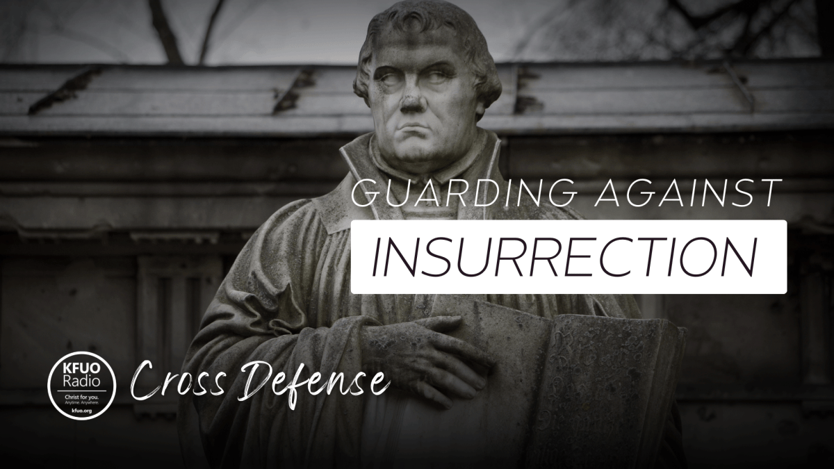 The Christian’s Two-Party System and Guarding Against Insurrection ...